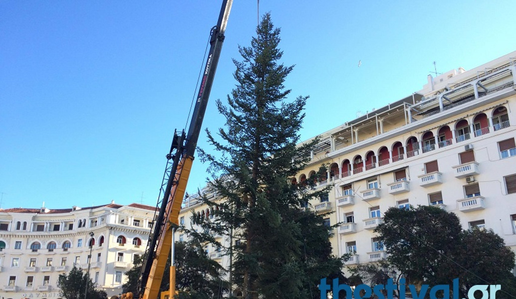 Θεσσαλονίκη: Στήθηκε το χριστουγεννιάτικο δένδρο στην πλατεία ...