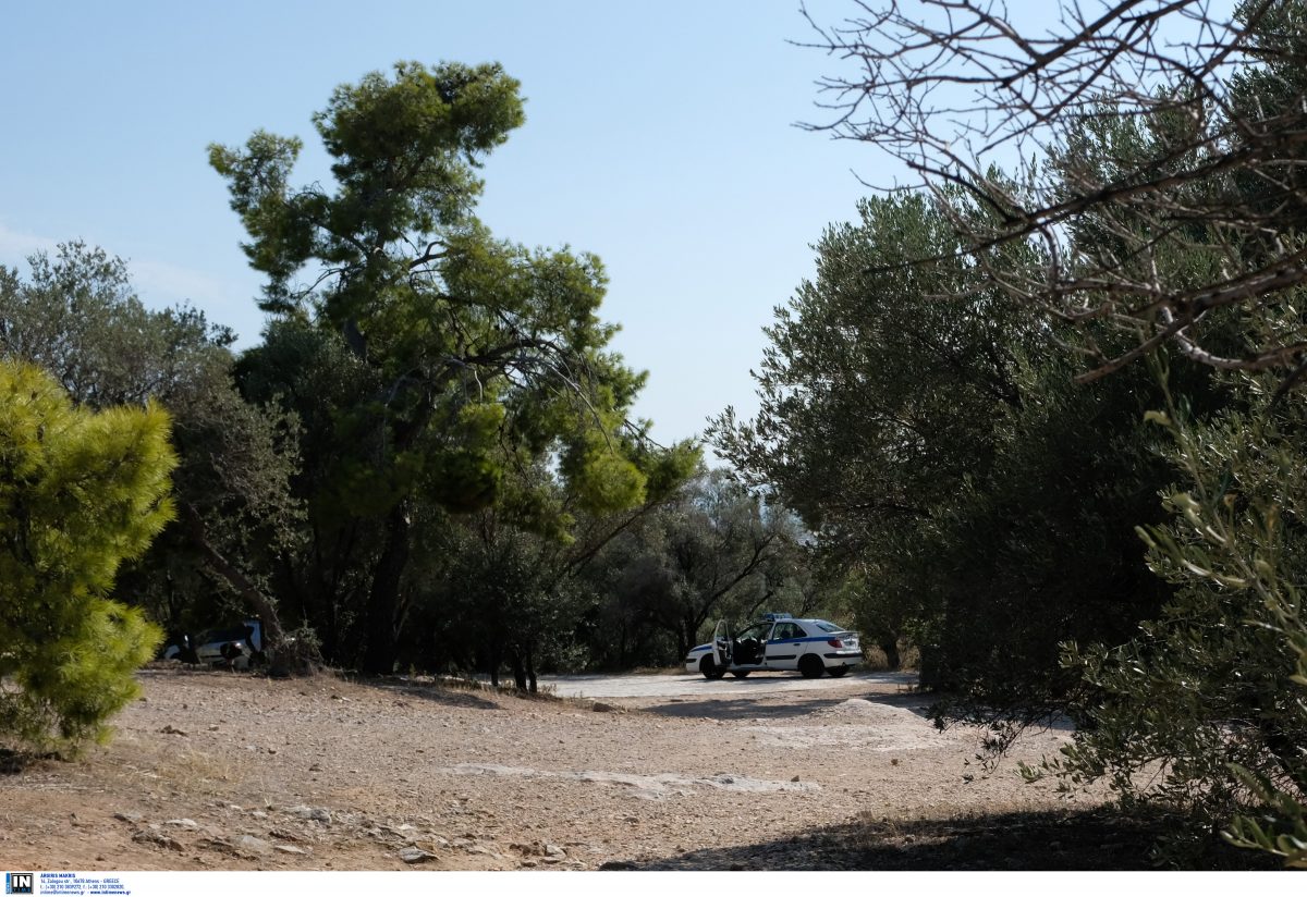 ΕΓΚΛΗΜΑ ΣΤΟΥ ΦΙΛΟΠΑΠΠΟΥ : Αυτοί είναι οι συλληφθέντες (pic) | Pagenews.gr
