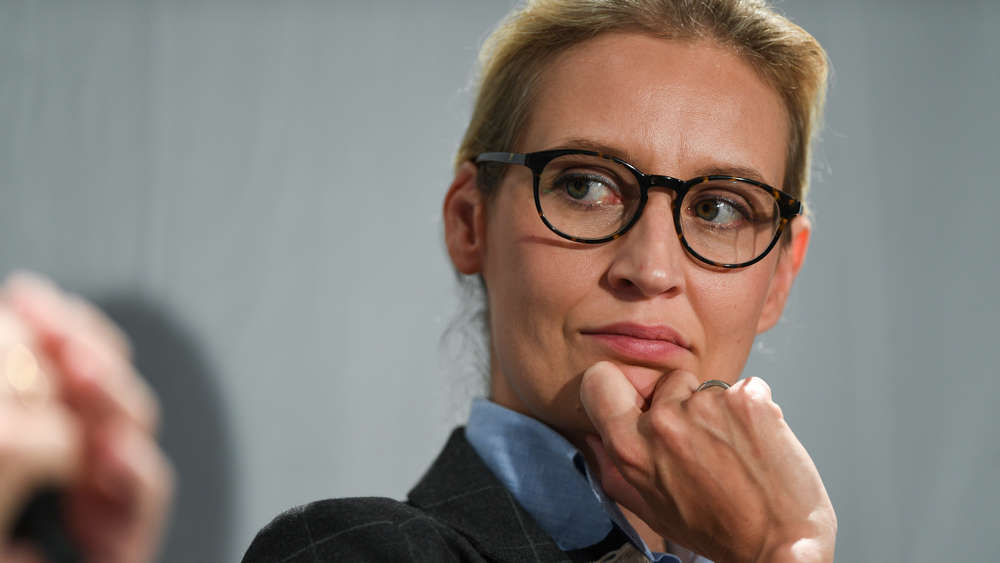 Alice Weidel: Αυτή είναι η 38χρονη ηγέτιδα του ακροδεξιού AfD (pics ...