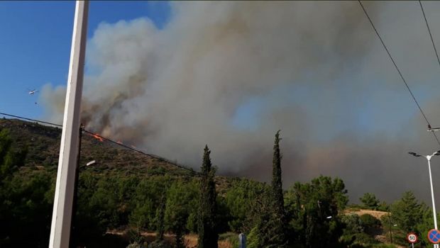 Φωτιά τώρα: Προληπτική εκκένωση δύο ξενοδοχείων στη Σάμο | Pagenews.gr