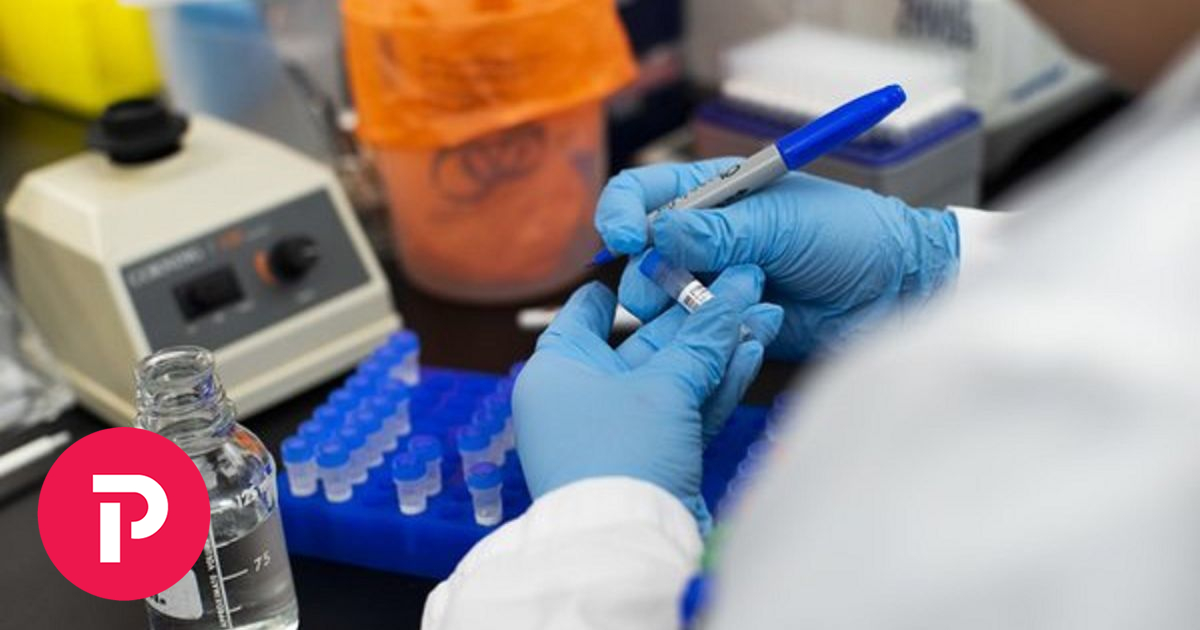 Rapid test: Το πρώτο ελληνικό τεστ αντιγόνου είναι γεγονός | Ειδησεις ...