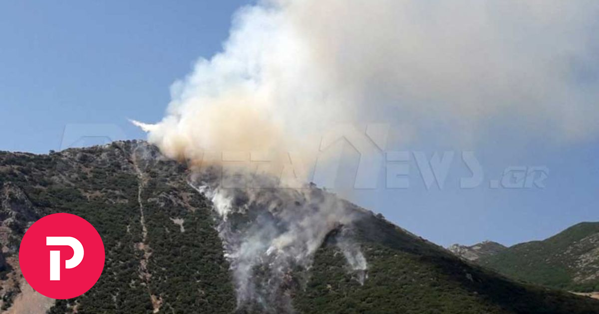 Φωτιές Ελλάδα: Σε εξέλιξη η πυρκαγιά στην Πρέβεζα - 61 δασικές ...