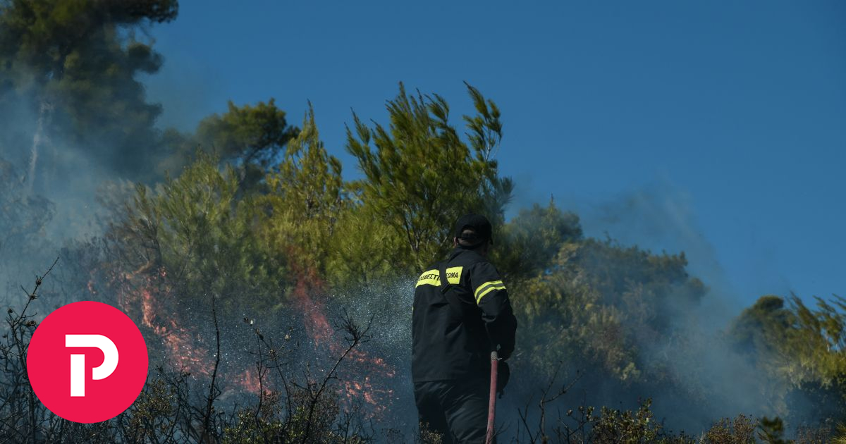 Φωτιές τώρα: Δύο πυρκαγιές σε Ηλεία και μία στη Λακωνία | Ειδησεις ...