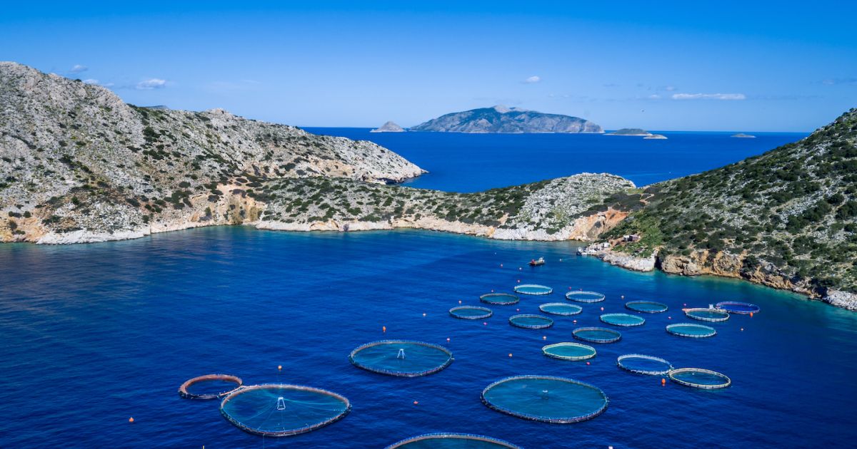 Τα προϊόντα της ελληνικής υδατοκαλλιέργειας κυριαρχούν στην διεθνή ...