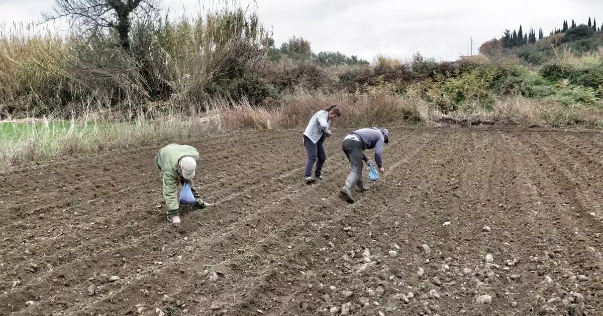 e-ΕΦΚΑ: Τι ισχύει με το ΑΜΚΑ για απασχολούμενους πολίτες τρίτων χωρών ...