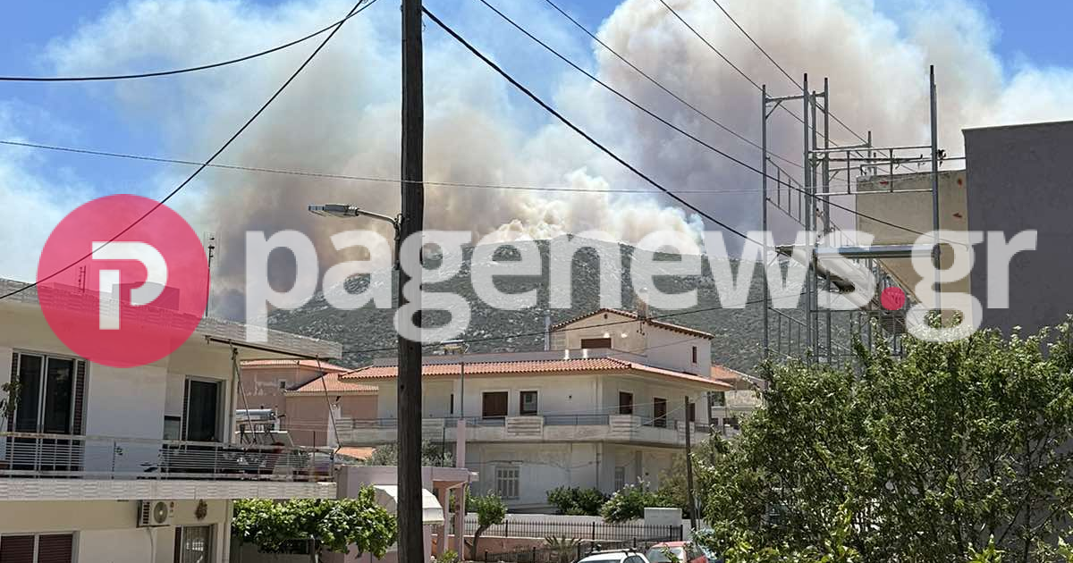 Νέος Κουβαράς: Δείτε αποκλειστικές φωτογραφίες από την μεγάλη φωτιά ...