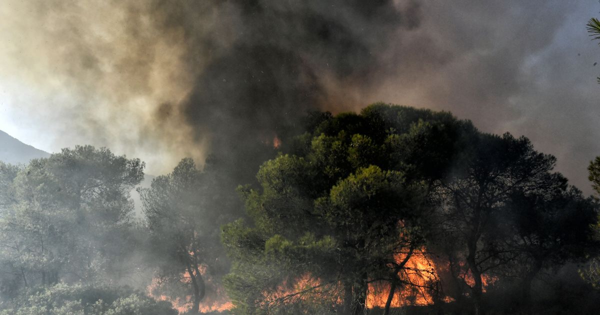 Πόσο κοστίζει η πρόληψη και η καταστολή των δασικών πυρκαγιών ...