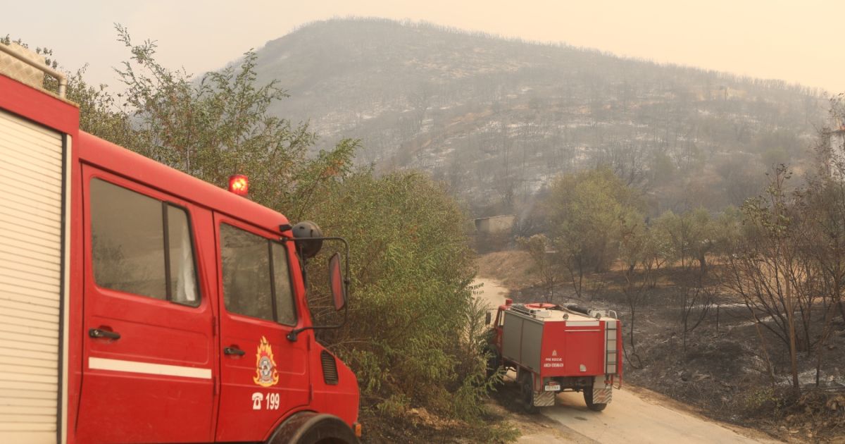Φωτιά Έβρος: Εντοπίστηκαν 18 απανθρακωμένοι μετανάστες στο δάσος της ...