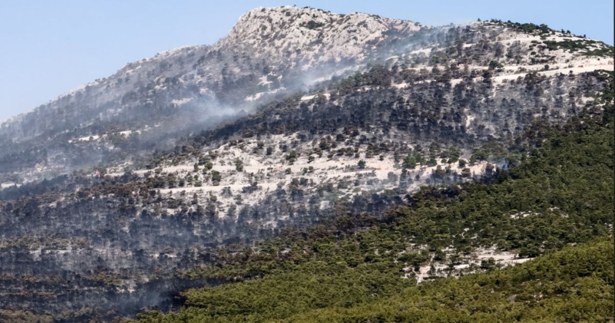 Αυλώνας: Δείτε φωτογραφίες-ντοκουμέντο από τις απόπειρες εμπρησμού ...
