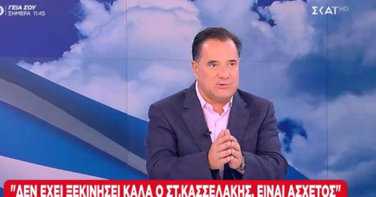 Άδωνις: Σταλινική η συμπεριφορά Κασσελάκη απέναντι στην κ. Μιχαηλίδου ...