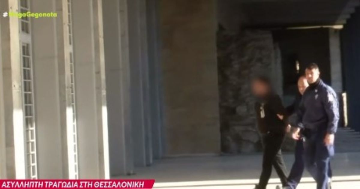 Κακουργηματική δίωξη στον 37χρονο ιδιοκτήτη των σκύλων που επιτέθηκαν ...