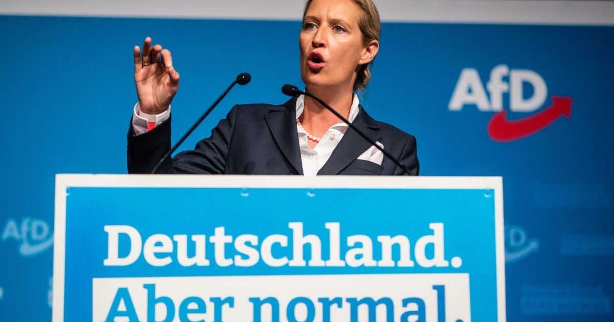 Το AfD «λύκος με προβιά» και «εχθρός της δημοκρατίας»; | Ειδησεις ...