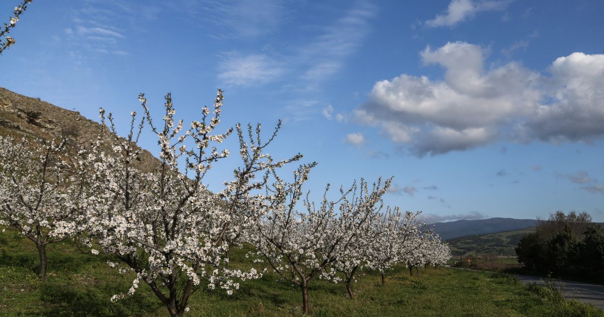 Με καλό καιρό η έξοδος των εκδρομέων της Καθαράς Δευτέρας - Άστατος ο ...
