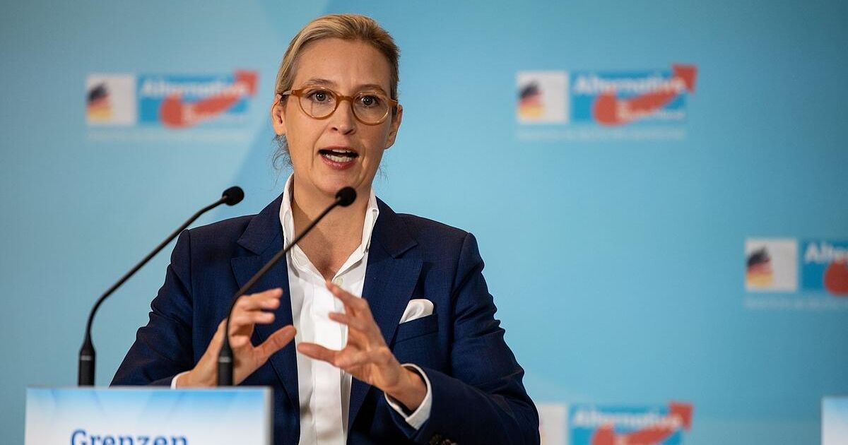Γερμανία: Η AfD, η Ρωσία και η Κίνα | Ειδησεις | Pagenews.gr