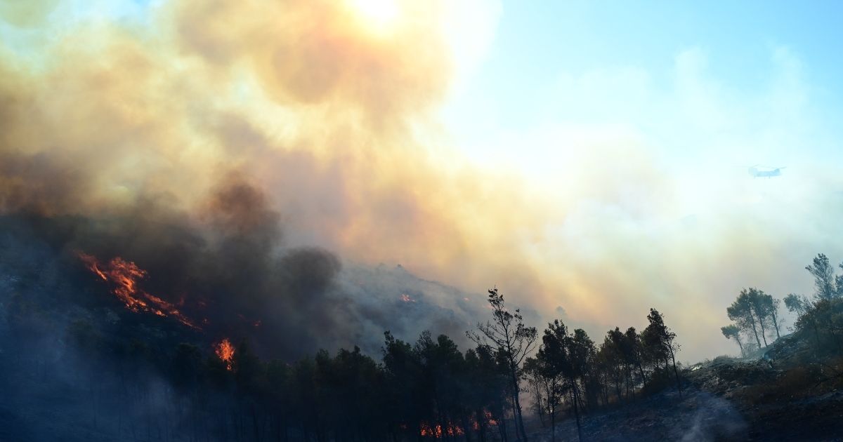 Φωτιά στην Κερατέα: Καλύτερη η εικόνα στα διάσπαρτα μέτωπα -Κάηκαν ...