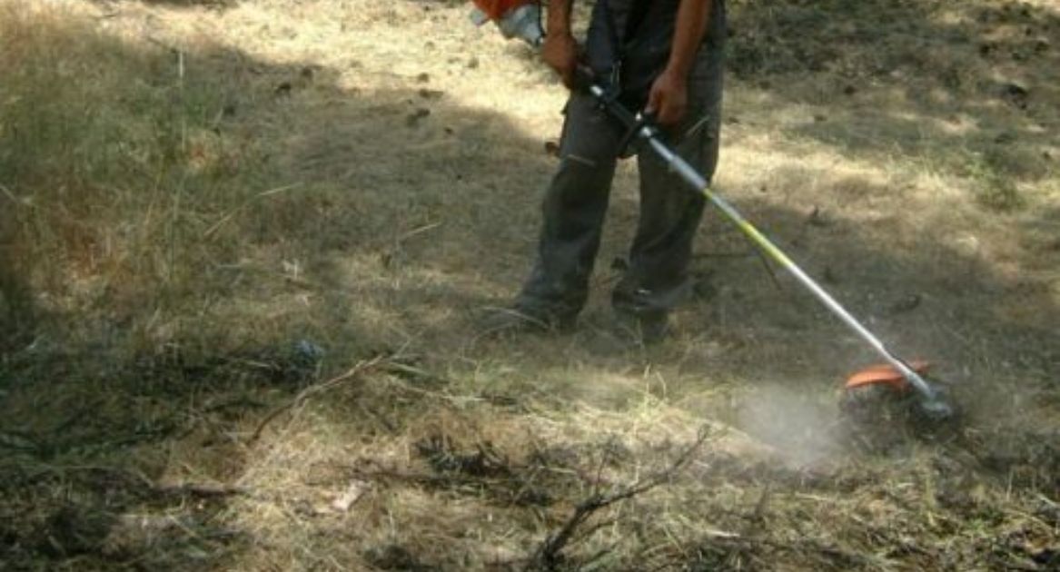 Παρατείνεται έως τις 15 Ιουλίου η προθεσμία για τη δήλωση καθαρισμού ...