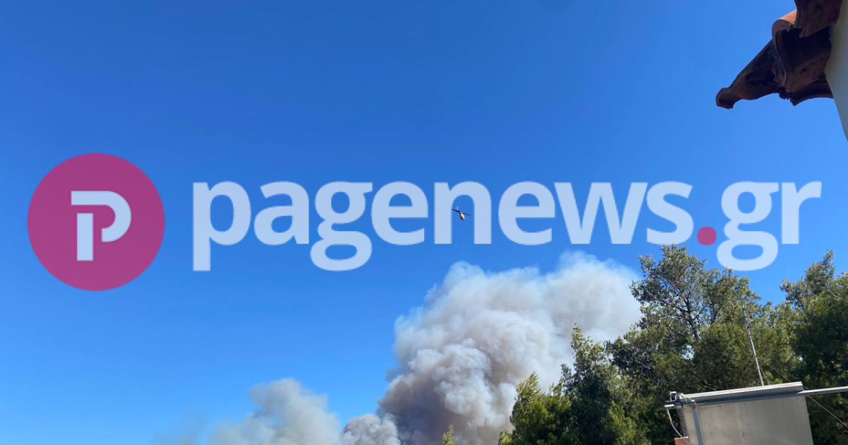 Φωτιά τώρα στη Σταμάτα Διονύσου κοντά σε σπίτια: Εστάλη μήνυμα από το ...
