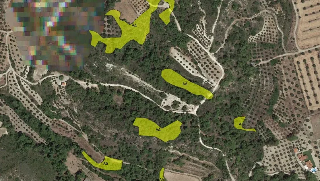 Δασικοί Χάρτες: Απόφαση ΣτΕ ανοίγει τον δρόμο για αποδέσμευση ...