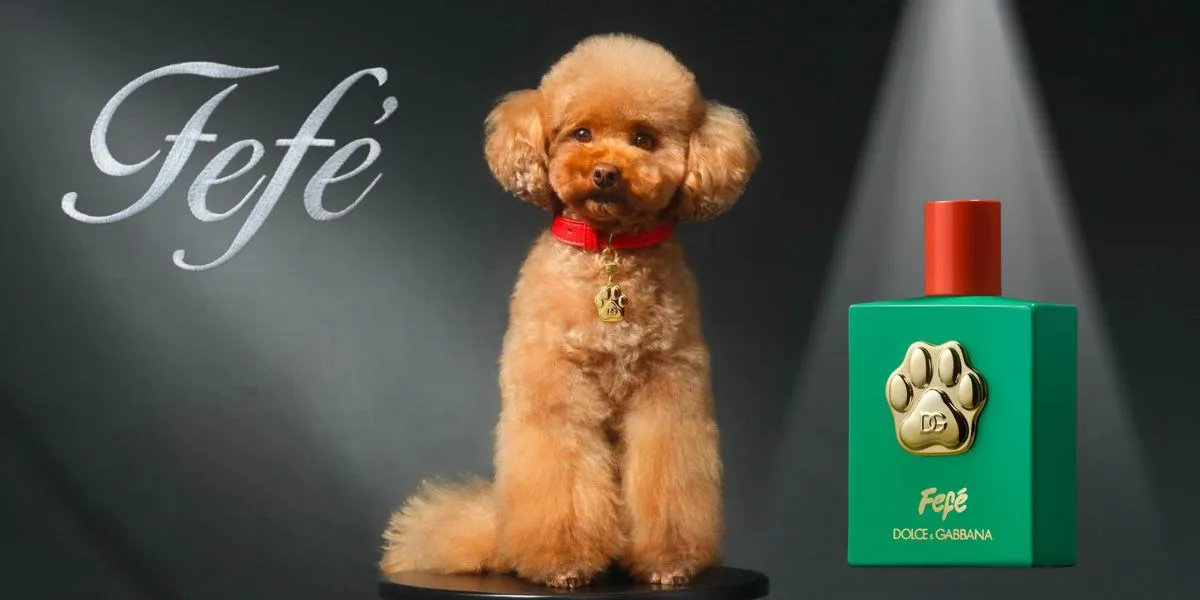 Dolce & Gabbana: Το νέο άρωμα του οίκου ονομάζεται Fefé και απευθύνεται ...