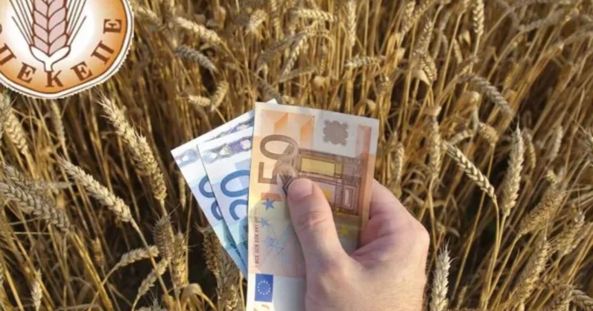 ΟΠΕΚΕΠΕ: Ολοκληρώθηκε η υποβολή των αιτήσεων της Ενιαίας Αίτησης ...