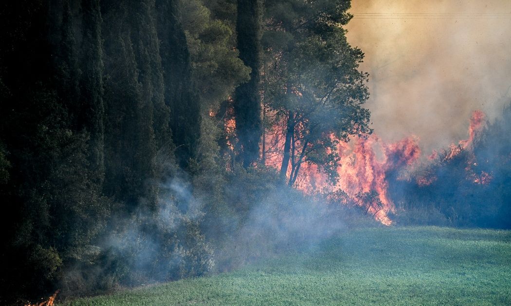Μάχη σε τρία μέτωπα φωτιάς στην Ηλεία - Απειλούνται σπίτια | Ειδησεις ...