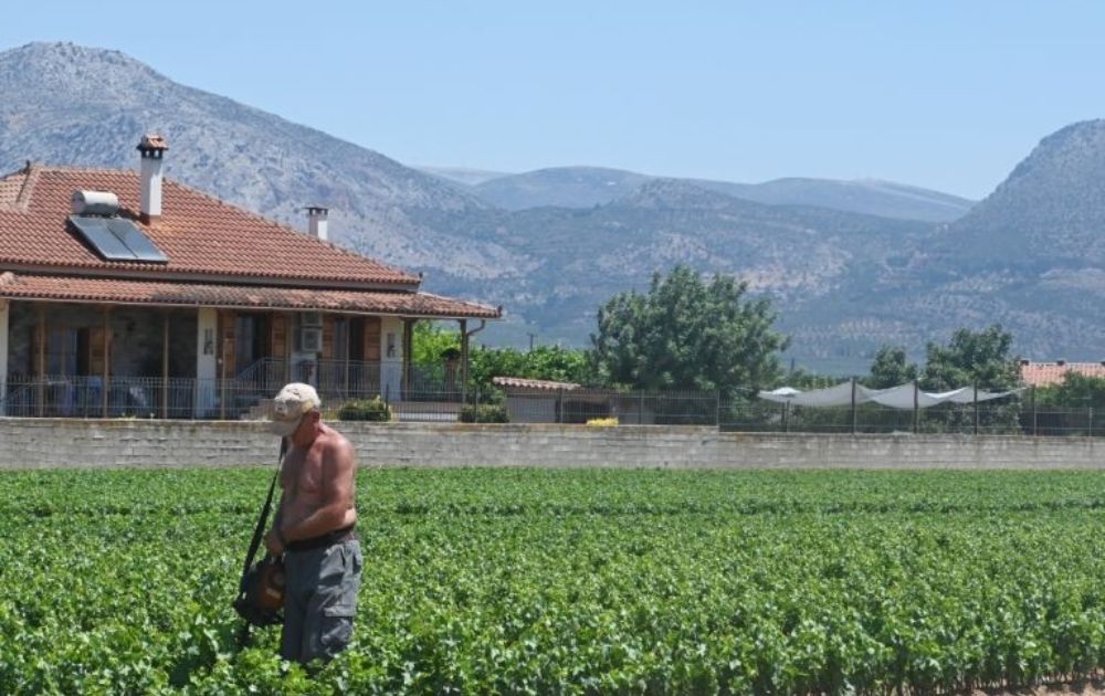 ΟΠΕΚΕΠΕ: Πληρωμές 260 εκατ. ευρώ σε δύο φάσεις – Ποιοι είναι οι ...