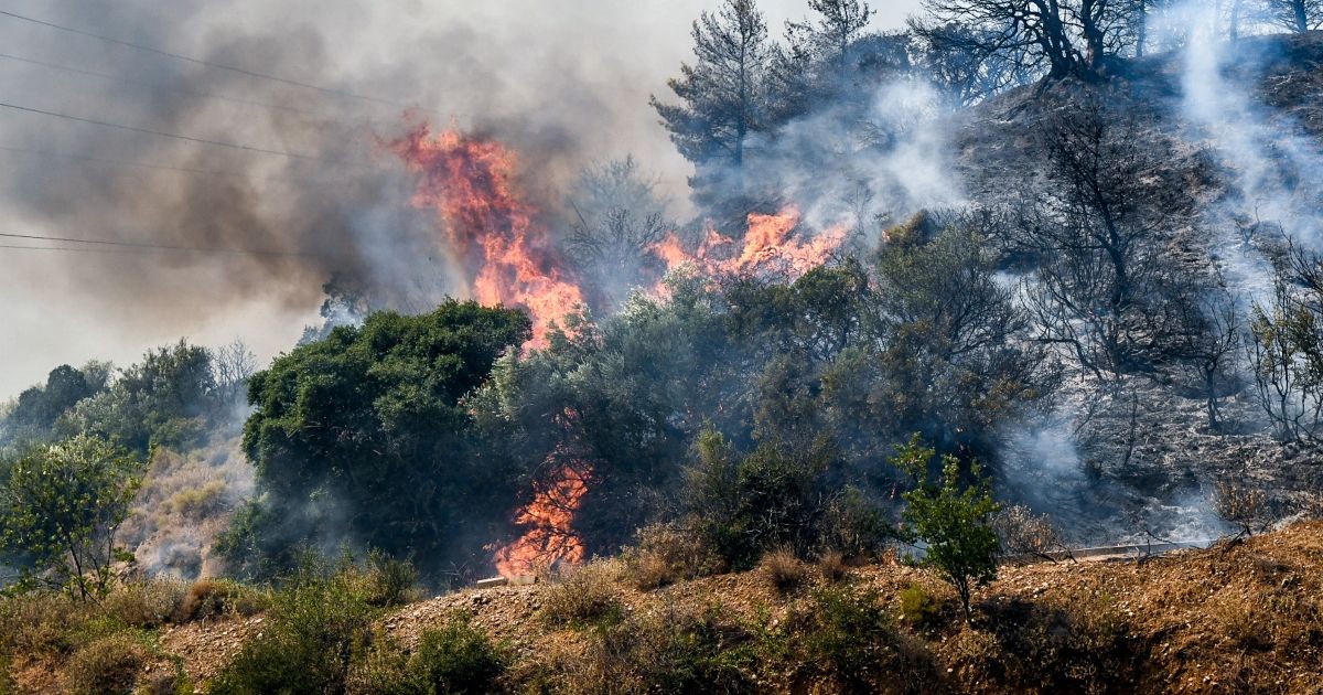 Πυρκαγιές και καύσωνας στη Νότια Ευρώπη: Θάνατοι και μαζικές εκκενώσεις ...