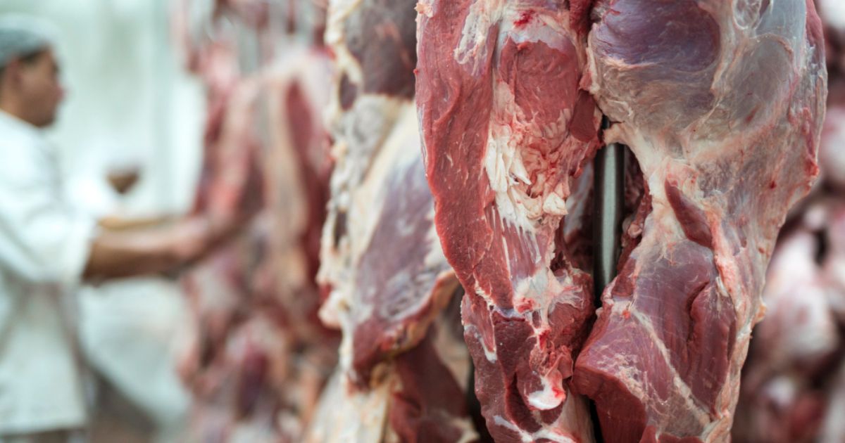 Μοσχάρι: Γιατί στην Ελλάδα οι τιμές ανεβαίνουν πιο πολύ απ’ την ΕΕ και ...